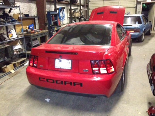 Whiteboy's Mustangs: 2003 mustang cobra Torch red svt#1736