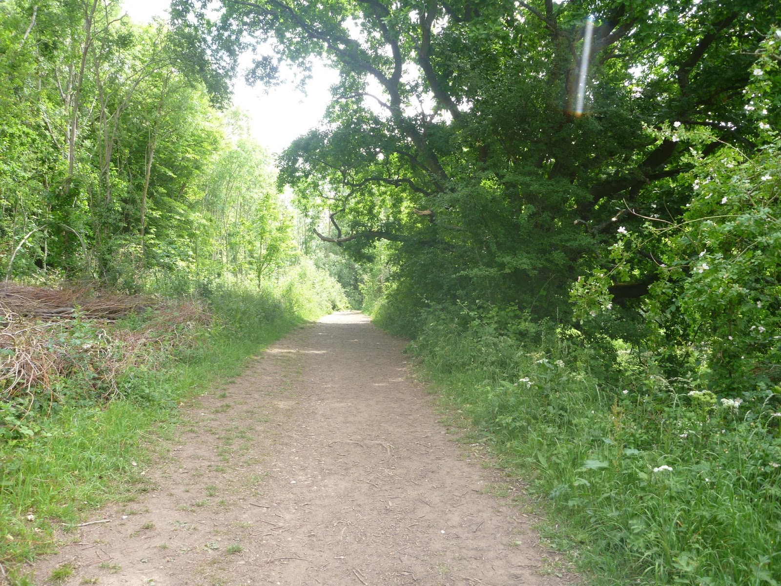A Place Called Space: Newbold Comyn - the Wetlands