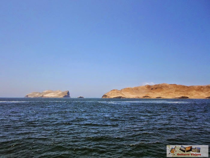 Danza con lobos en las Islas Palomino