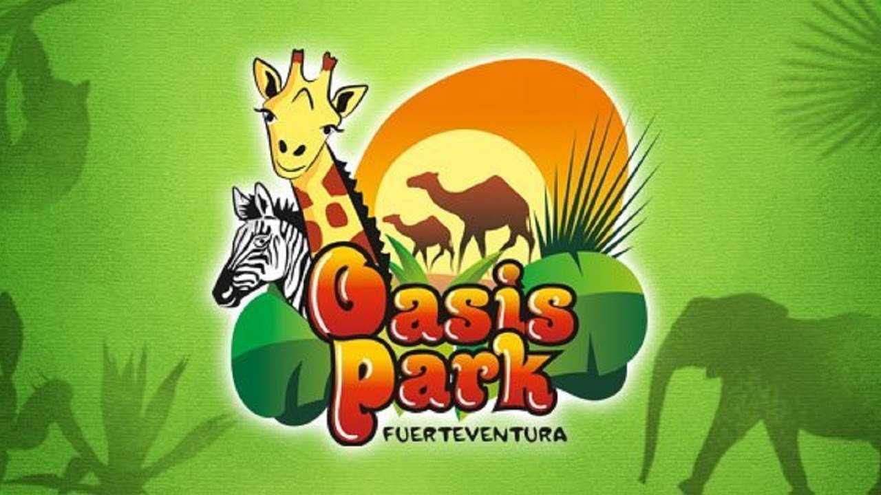 Trabajar en el zoo: Canal de Youtube: Oasis Park Fuerteventura