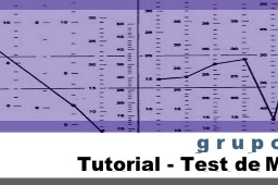 MMPI2-Test de Minnesota