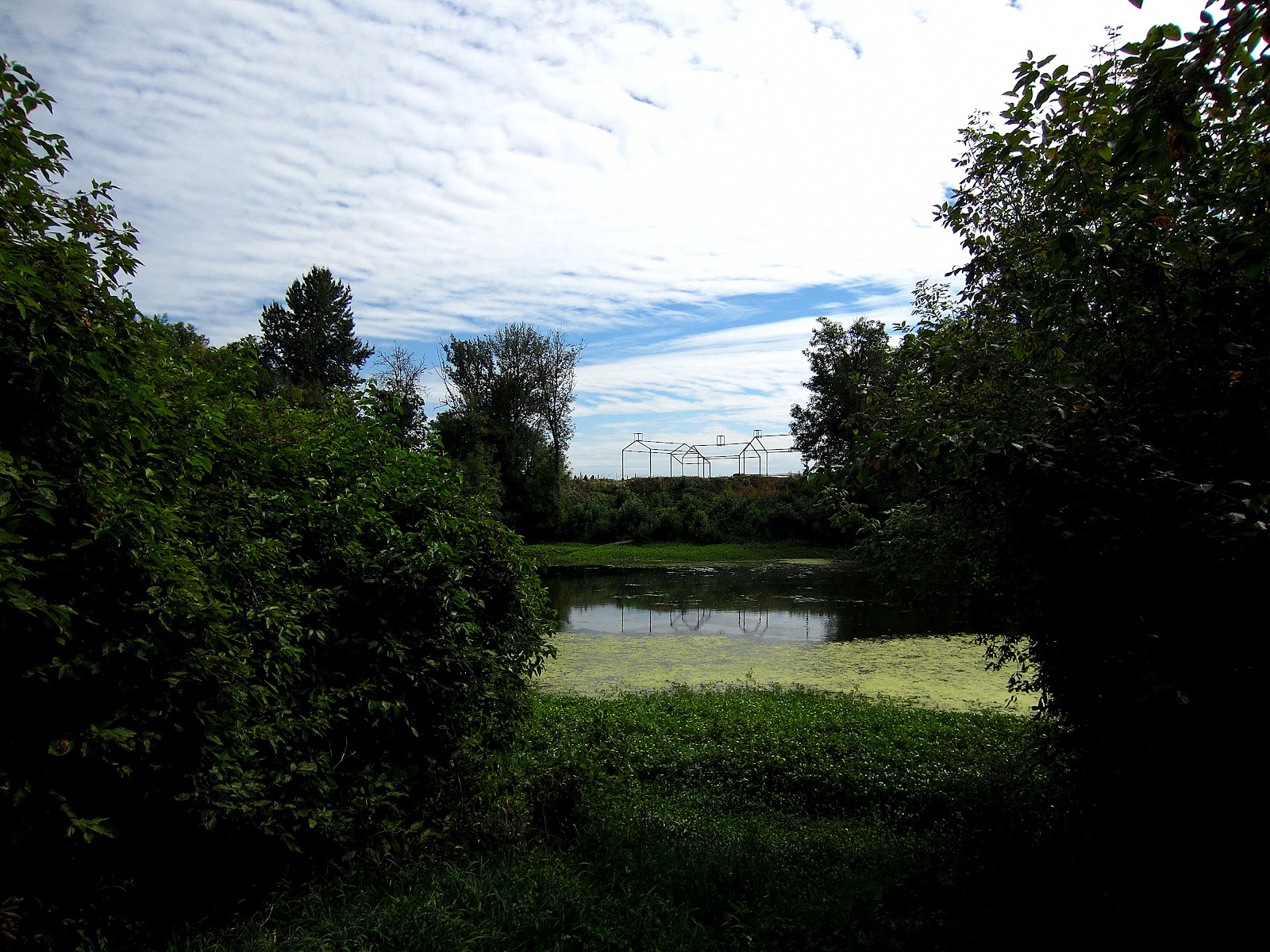 Thom Zehrfeld Photography : Willamette Mission State Park
