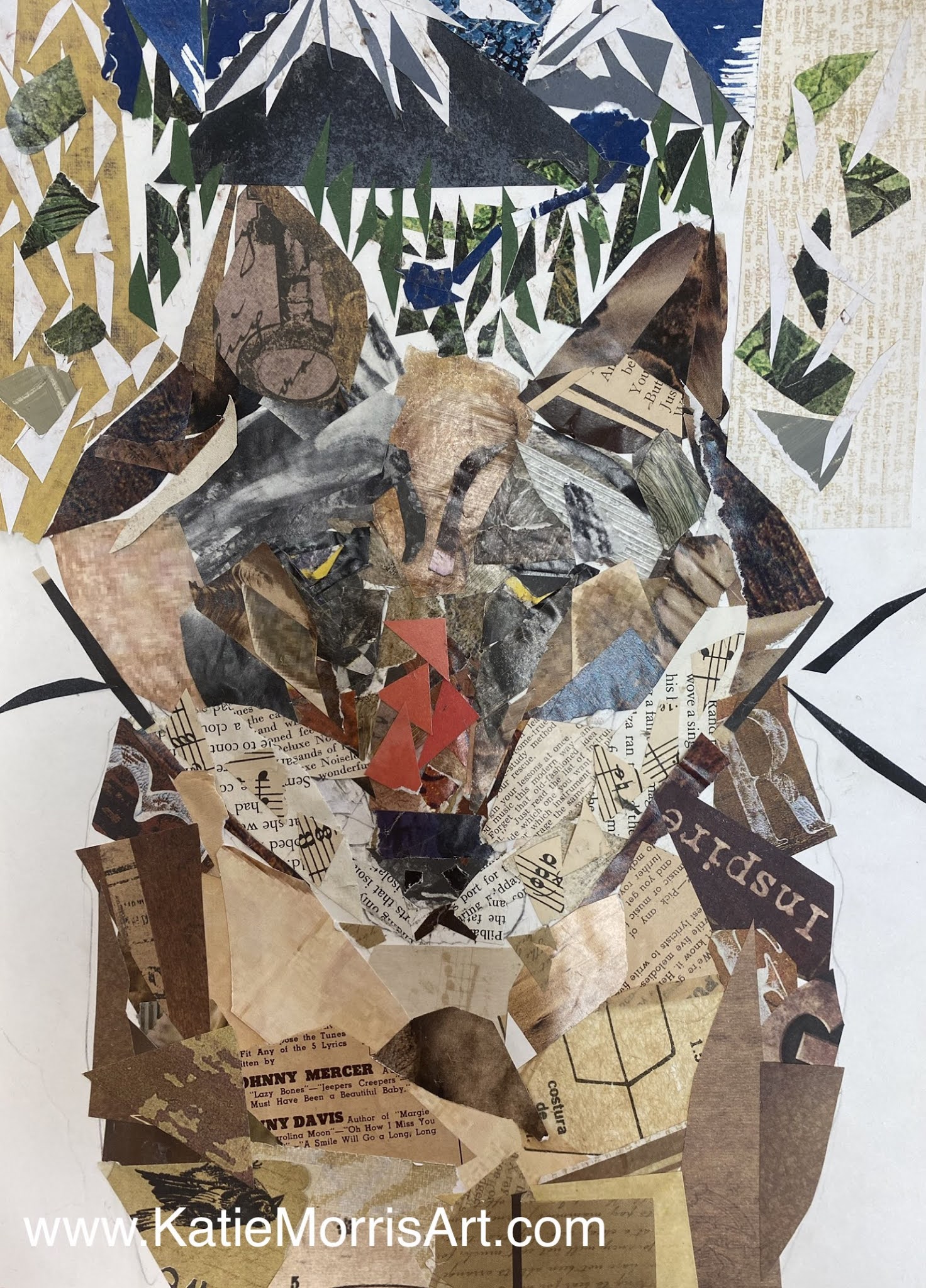 Katie Morris Art: 8th Grade Animal Collages