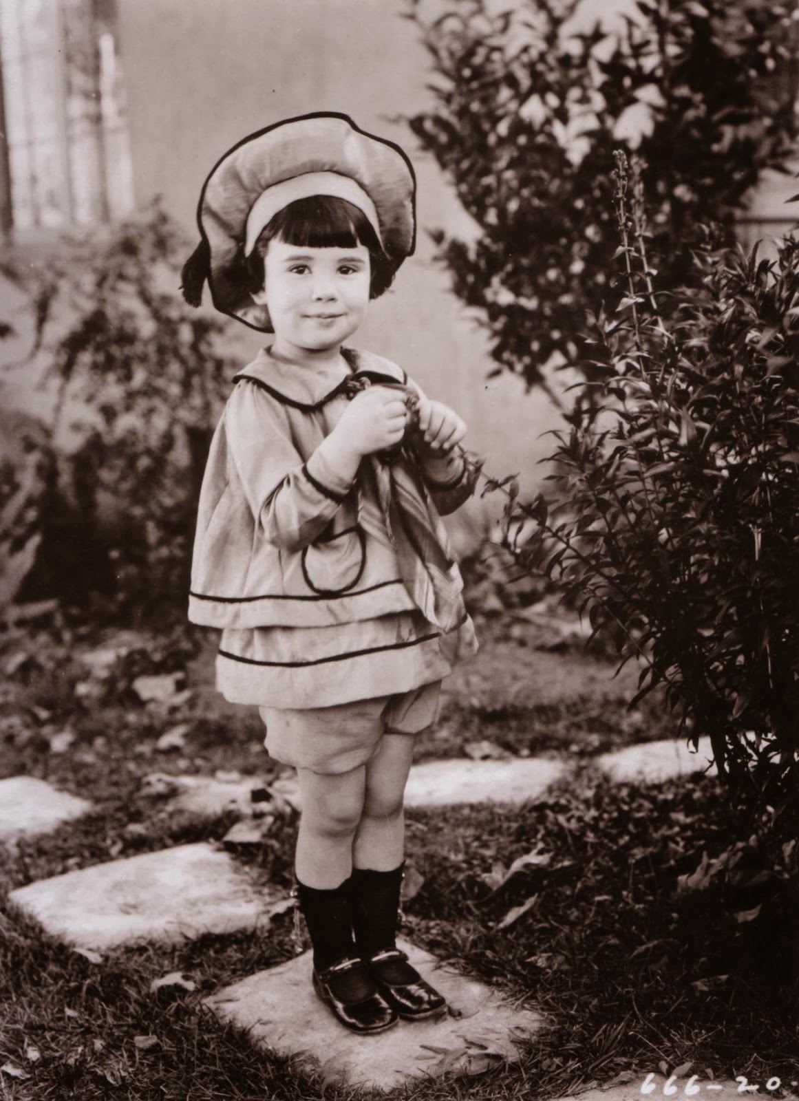 Thrilling Days of Yesteryear: DVD Review: Baby Peggy: The Elephant in ...