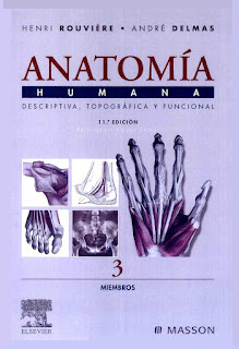 Kineyfisio: Anatomía humana descriptiva topográfica y funcional / Rouviere / 11va edición / Tomo ...