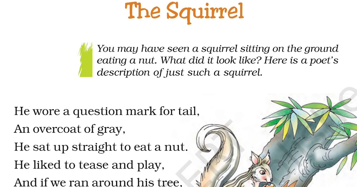 Poem Summary: The Squirrel by Mildred Bowers Armstrong