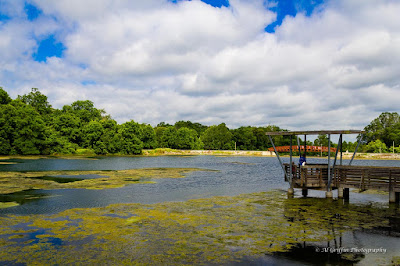 Our Eyes Upon Missouri: The Watershed Center at Valley Water Mill Park ...