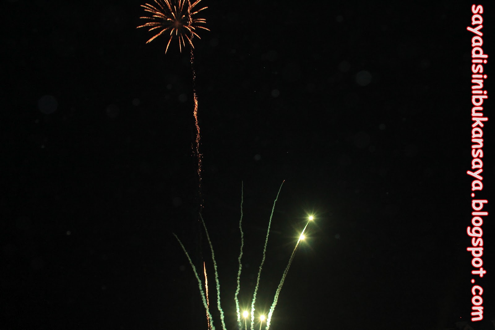 BukanSayaDisini: PERCIKAN Bunga Api @ FLORIA PUTRAJAYA 2012