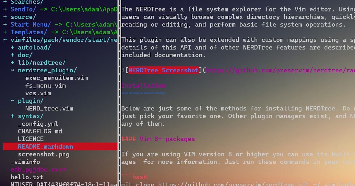 How To Install Vim Plugin On Vim For Windows
