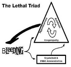 Ithaca DWI Lawyer Blog: Ithaca Cortland Lawyer New York's Evil Triad ...