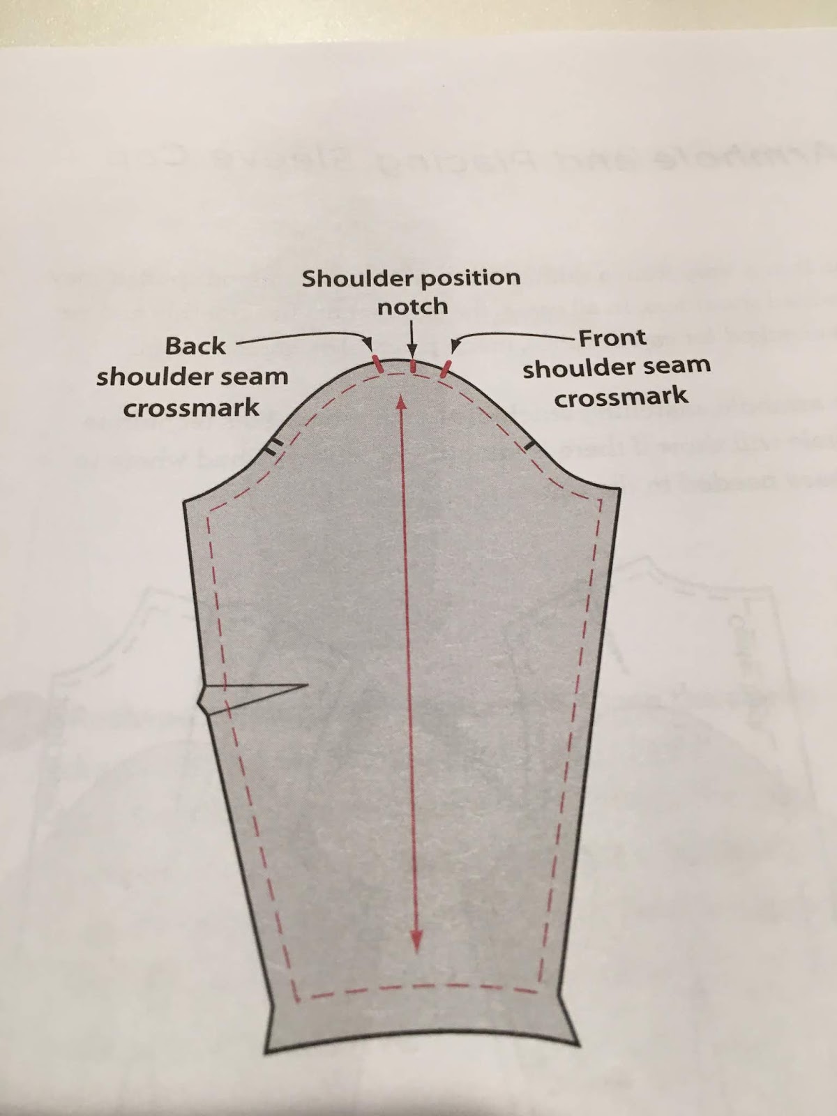 sewcreatelive: Drafting a Sleeve for Draped Bodice & Making a Padded ...