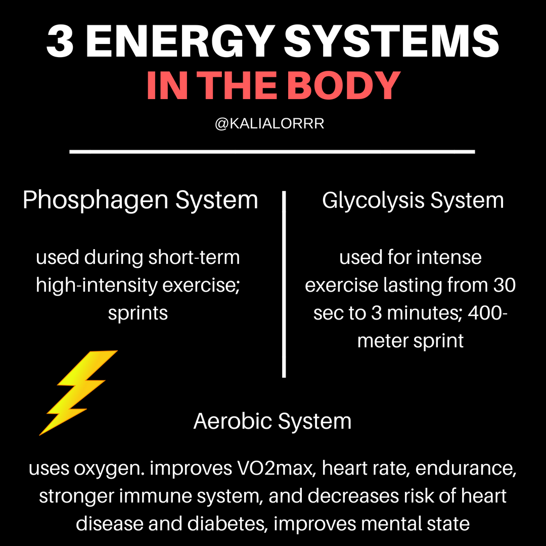 EXAMS AND ME : Phosphagen System