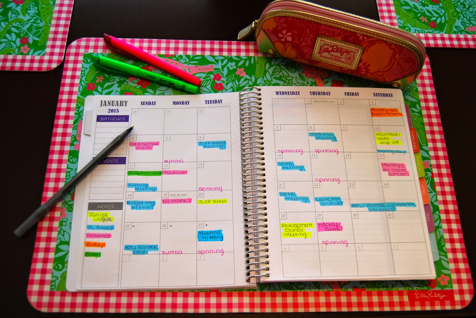 Plum Paper Planner Review - Girl Meets Bow