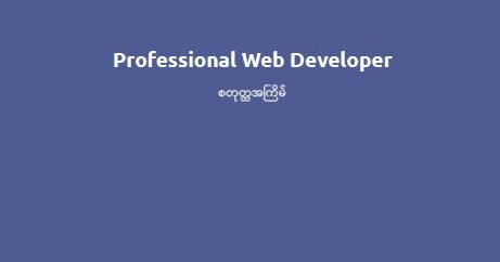 Myanmar Online Library: Professional Web Developer-Ei Maung