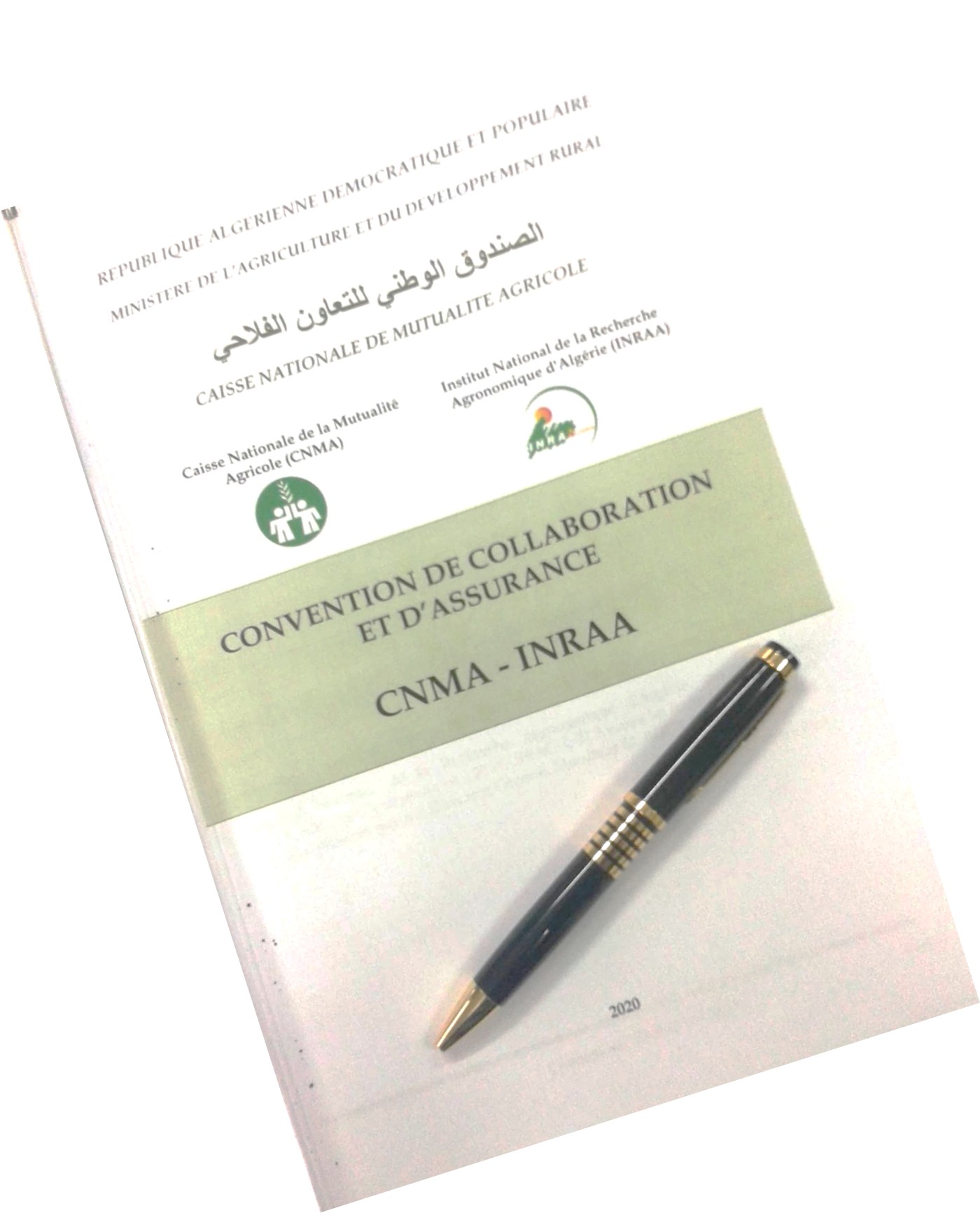 FLASH INFOS: Caisse Nationale de Mutualité Agricole « CNMA » & Institut ...