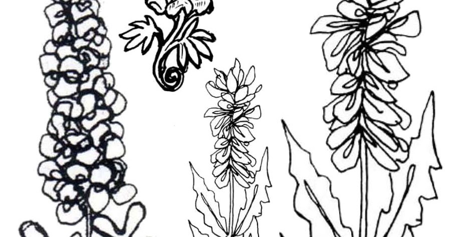 Texana Designs: March 2016 Stamp of the Month - Bluebonnet 2 and ...