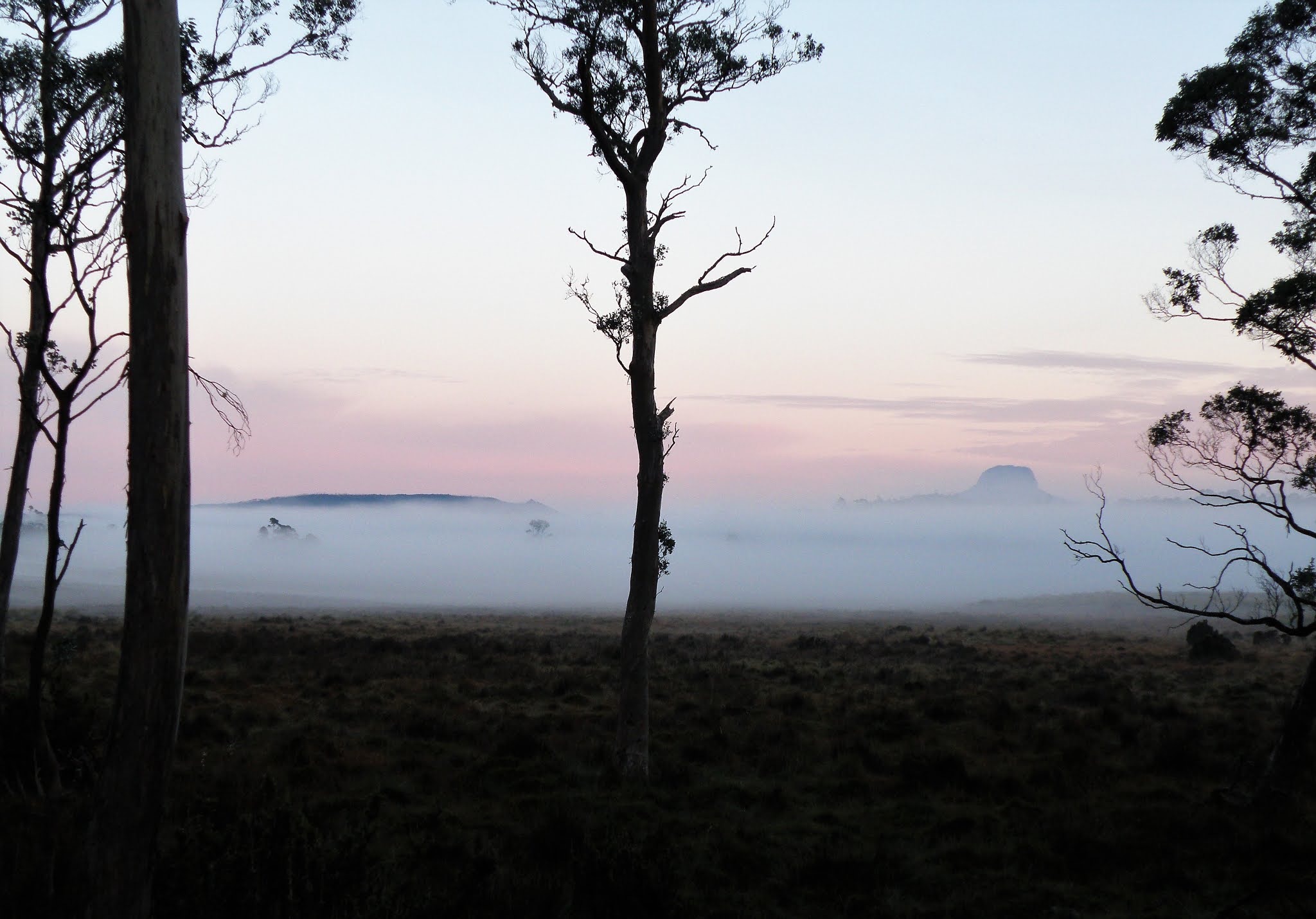 Goin' Feral One Day At A Time: Pelion Hut to Windy Ridge Hut, Overland ...