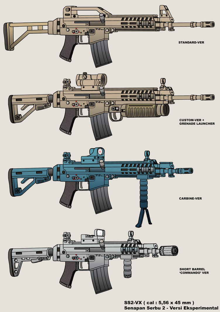 Senapan Serbu SS2