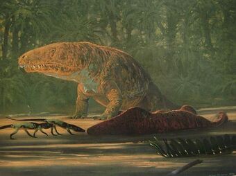 a mesozoic field guide: The Erythrosuchids