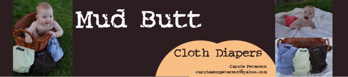 Cloth Diaper Addiction: Mud Butt Cloth Diapers