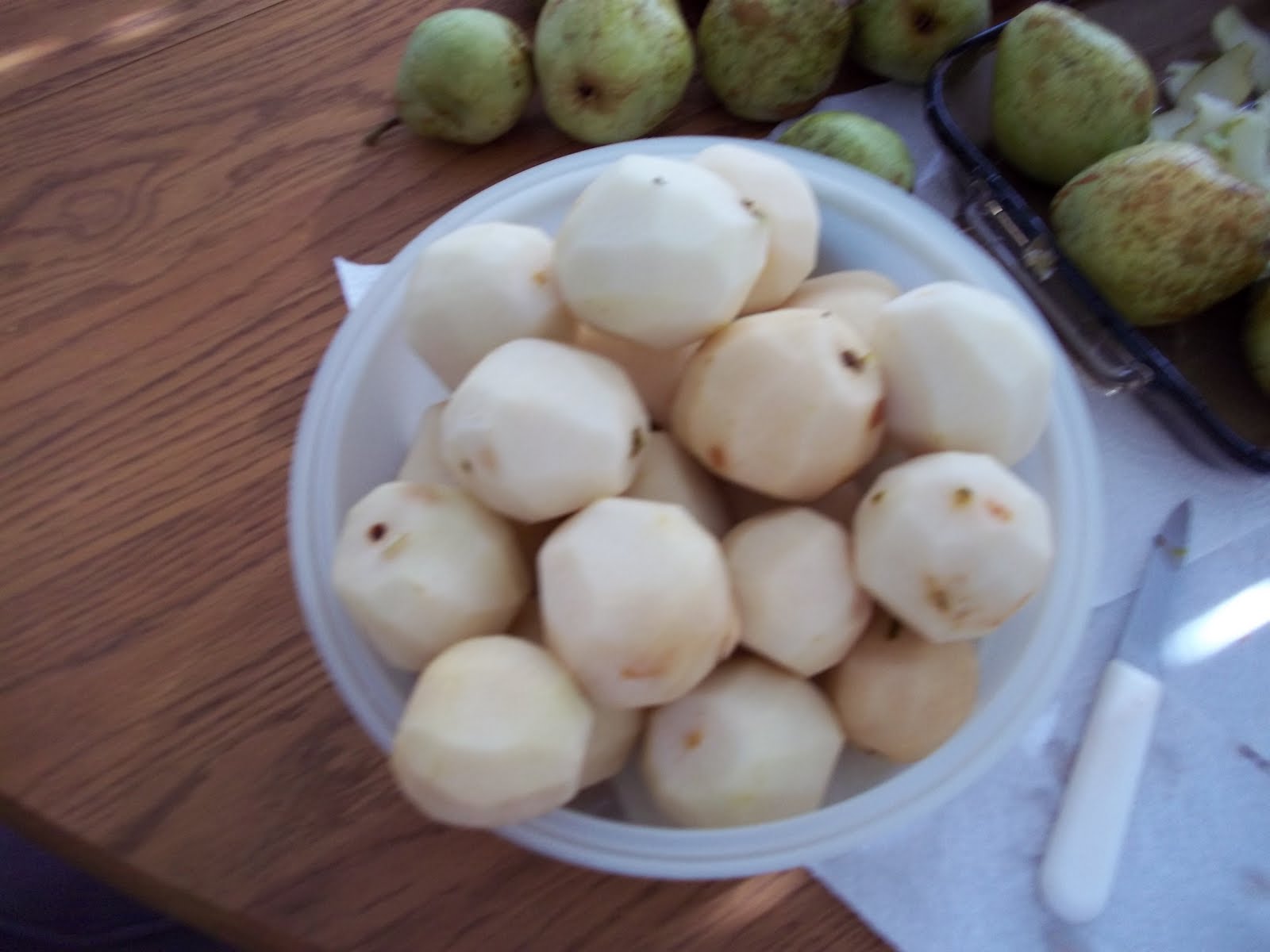 Waters In Tennessee: Debby's Homemade Pear Preserves