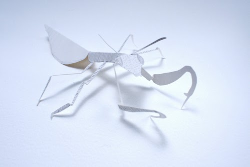 Insects: Paper Insects
