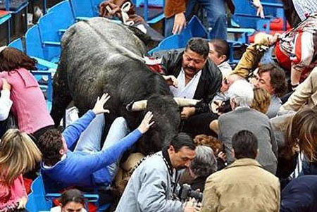 Bull Fighting Funny Pictures 2012 | All Photos in One Blog