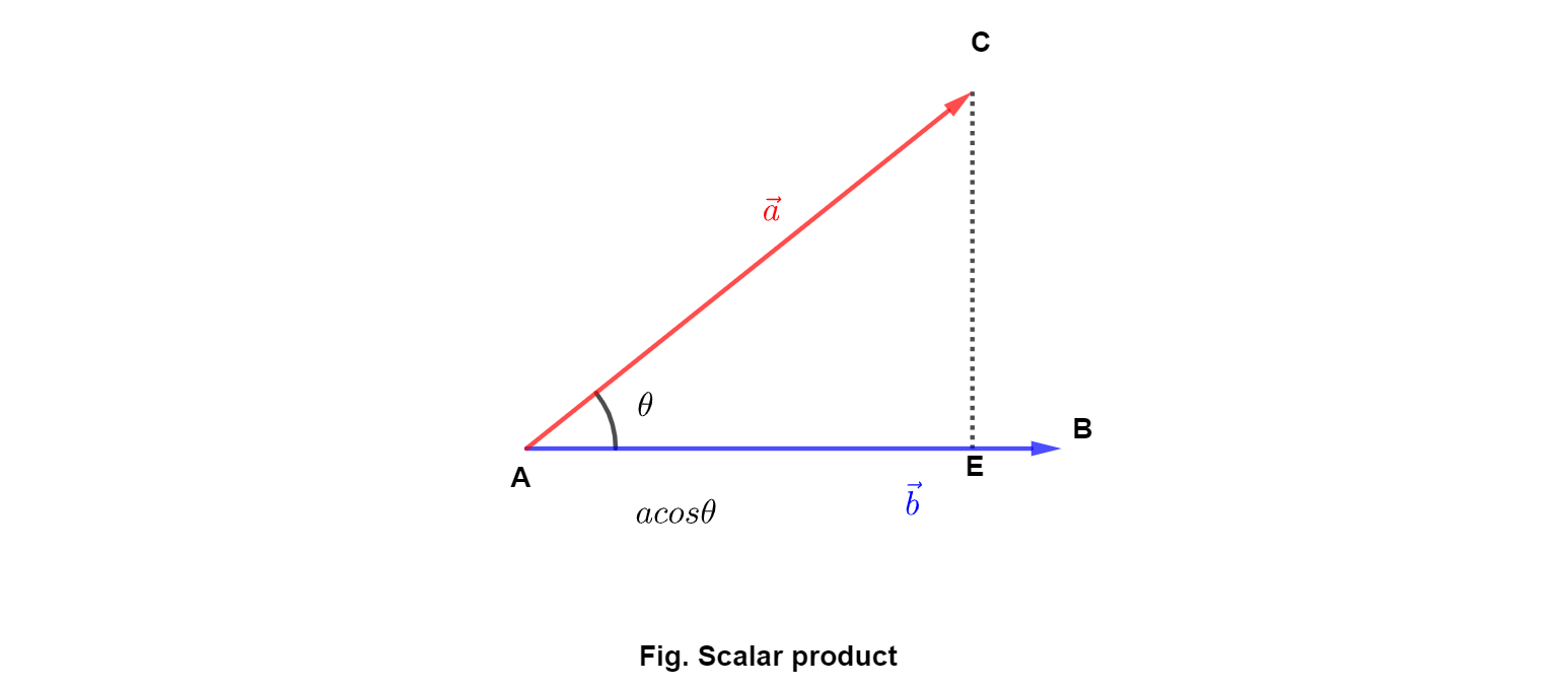 Scalars and Vectors | Vector Multiplication | Short Questions and ...
