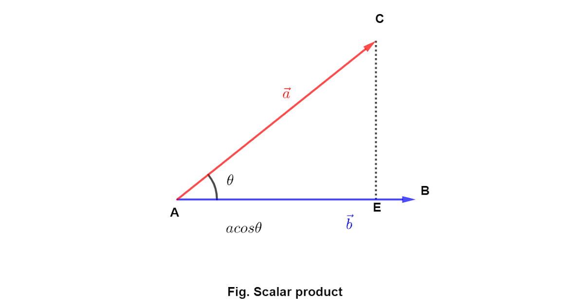 Scalars and Vectors | Vector Multiplication | Short Questions and ...