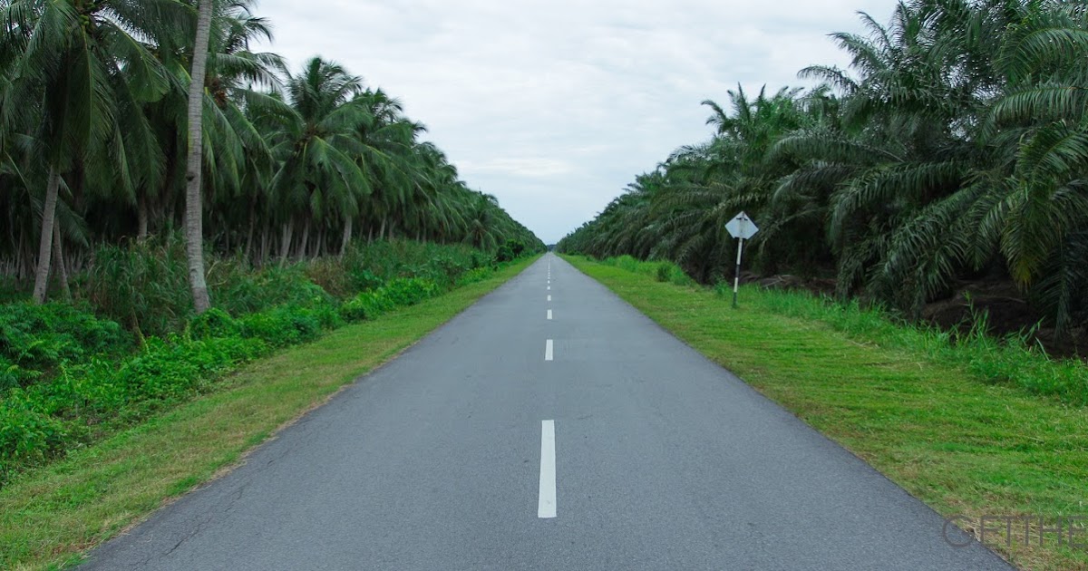 JALAN LURUS DI TEBUK BERIHUN ~ JUNAIDY JAAFAR