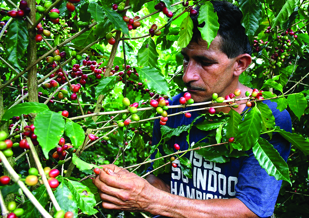 Economía de Costa Rica