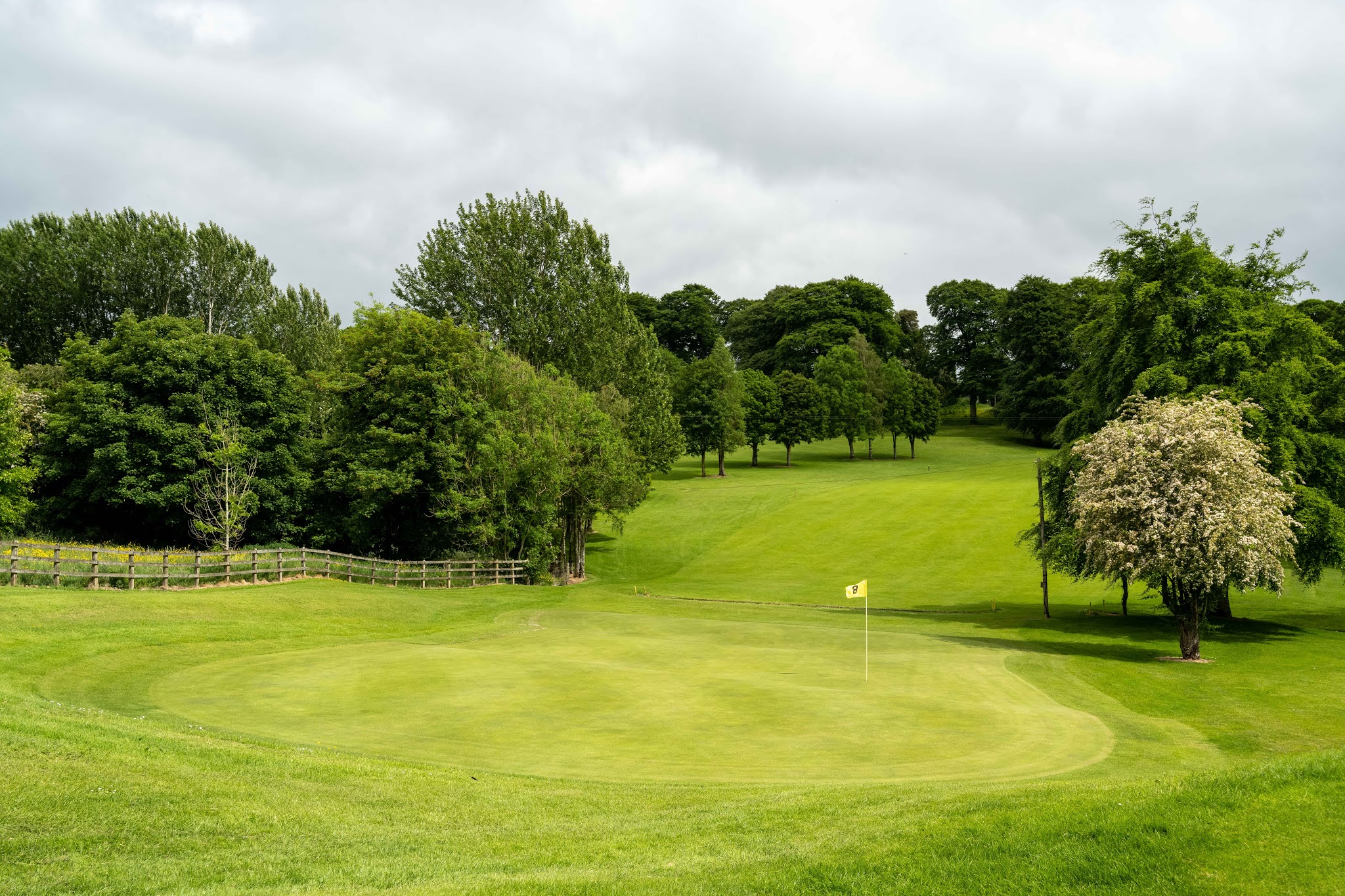 Hooked: Ireland's Golf Courses: Abbeyleix Golf Club and 70 Years