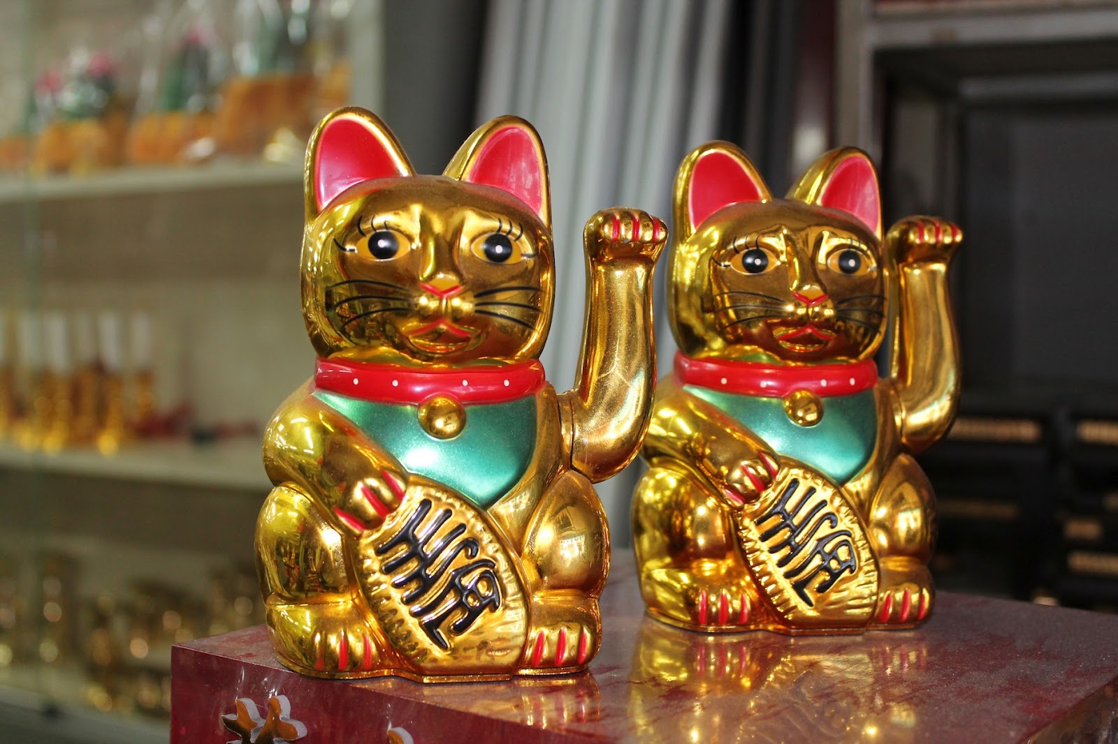 Otter's Tales: The cat that waves at you wherever you go