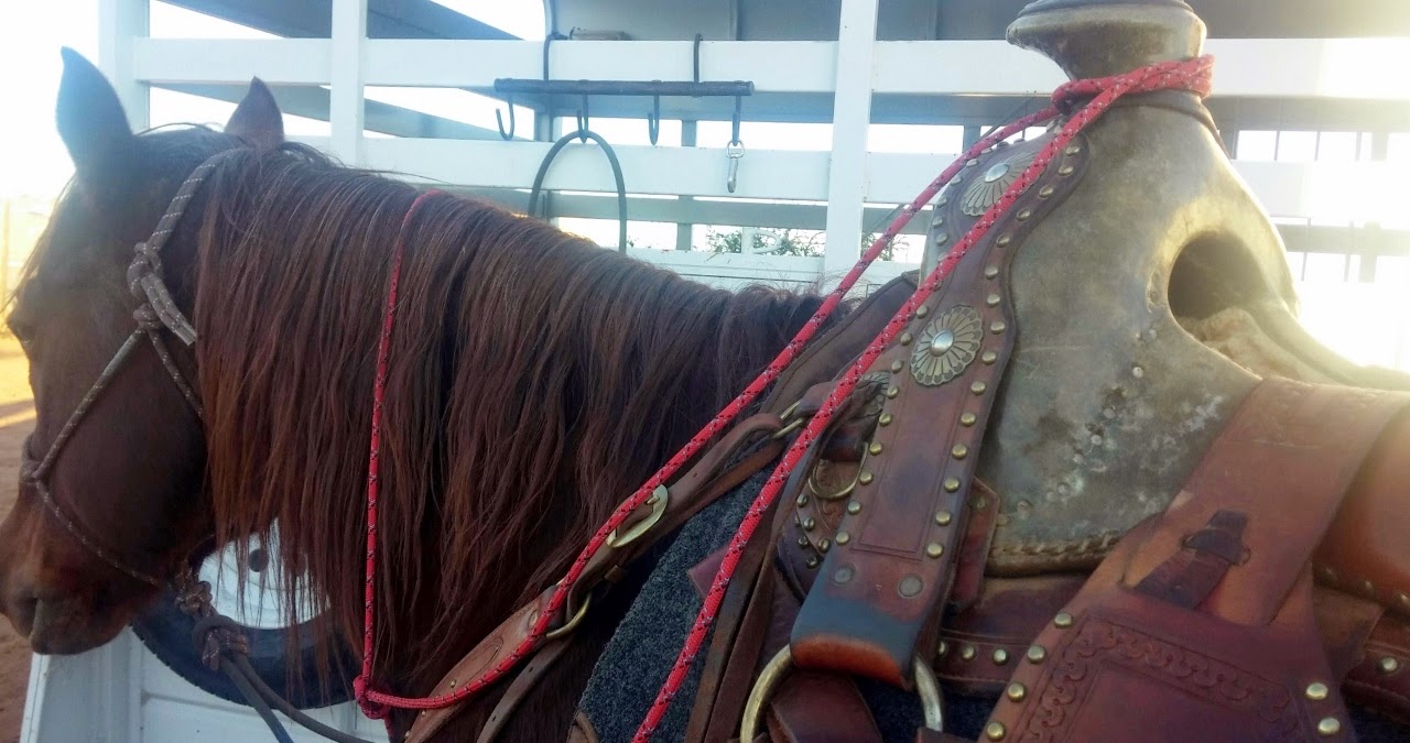 Functional Horsemanship: Tack Tip - More Than a Get Down Rope