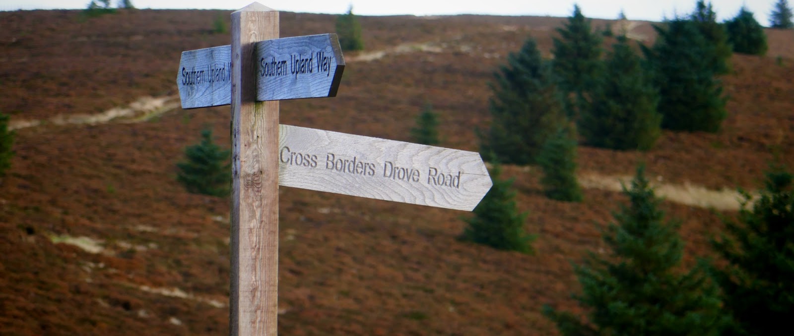 best part of the day: Tweed Valley Ultra Recce and Oct TB