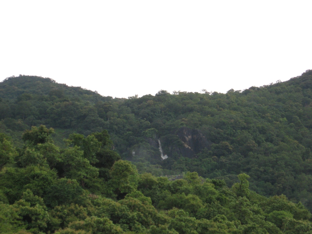 Tamilnadu Tourism: Ulakkai Aruvi Falls, Azhagiapandipuram, Kanyakumari