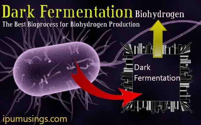 Dark Fermentation - The Best Bioprocess for Biohydrogen Production (# ...