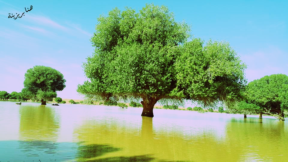 Beauty of Brezina in Bayadh_Algeria | In Algeria