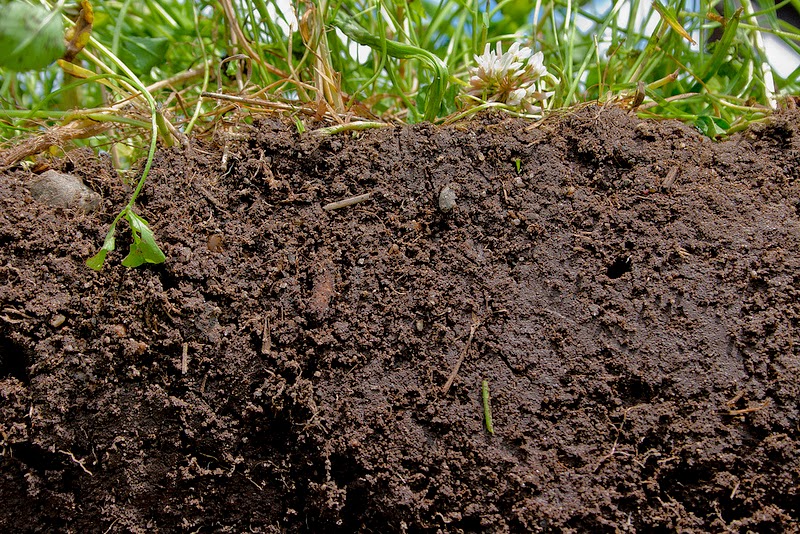 Beloved Spear: Earth and Life and Dirt