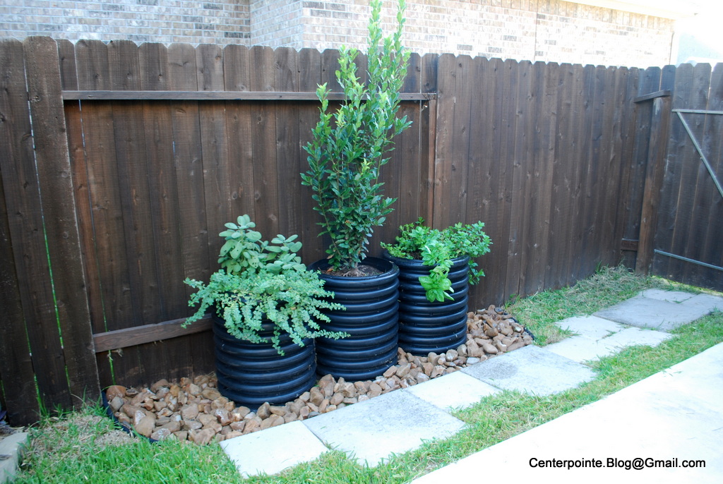 Centerpointe Communicator: Culvert planters, Part 3: Herb garden