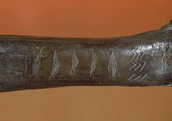 SKiN&BoNE: Burn & Pillage Tour 2014: National Museum Viking Market