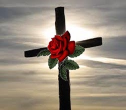 CONOCER ES SABER: CRUZ Y ROSA