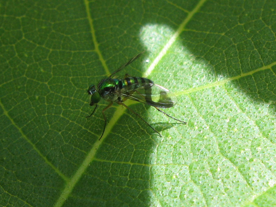 Inspiration by Deseos Design: 2011