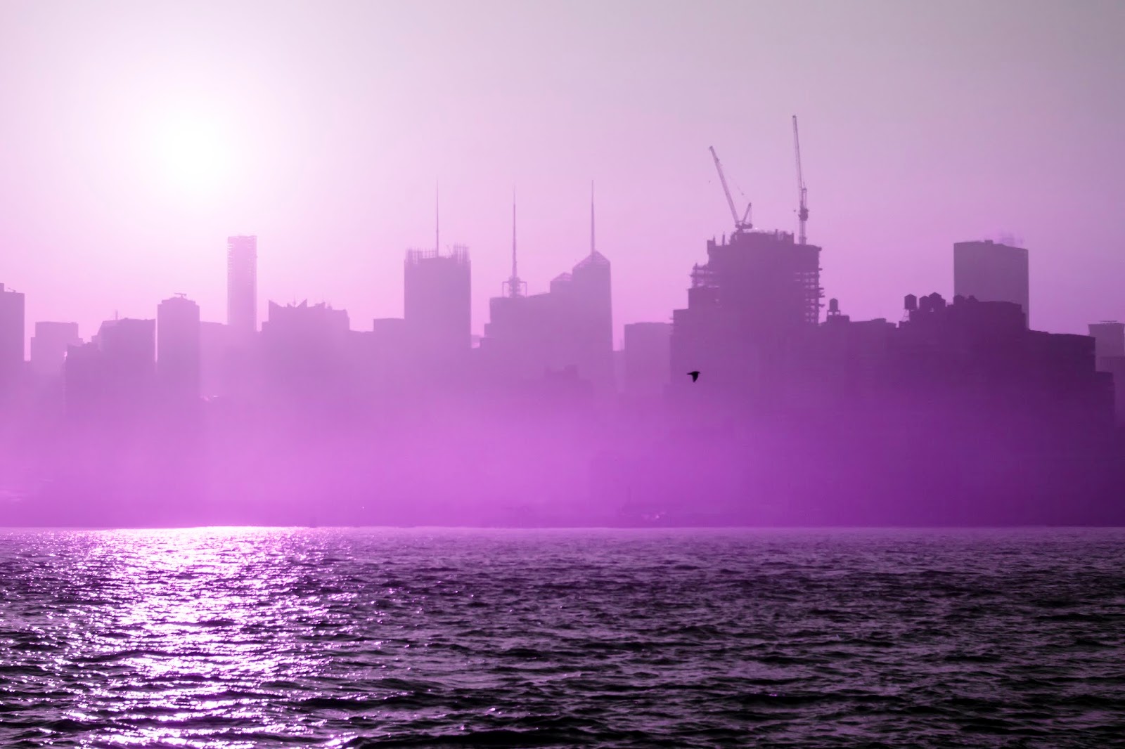 NEW SAVANNA: Purple sky times three [but no rain]