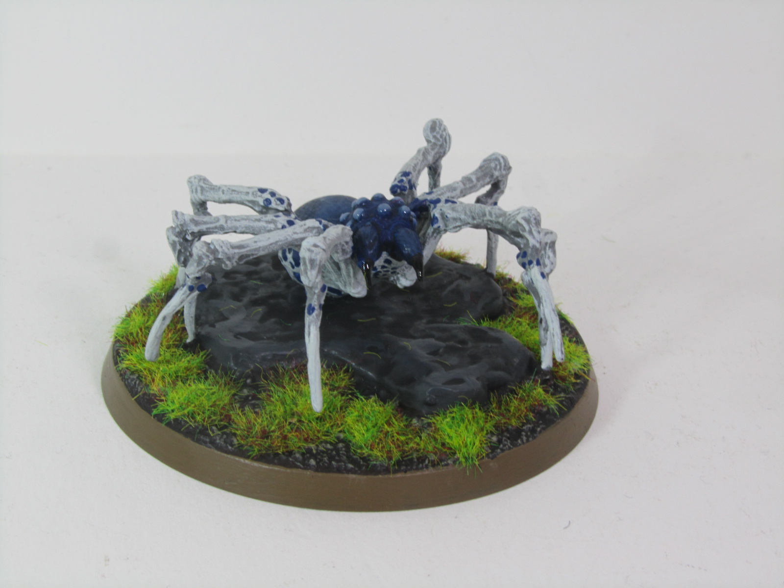 A Butterfly's Hobby Tally: Itsy Bitsy (Phase) Spider