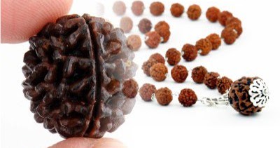 Original Rudraksha Online- Know the different types of Rudraksha and ...