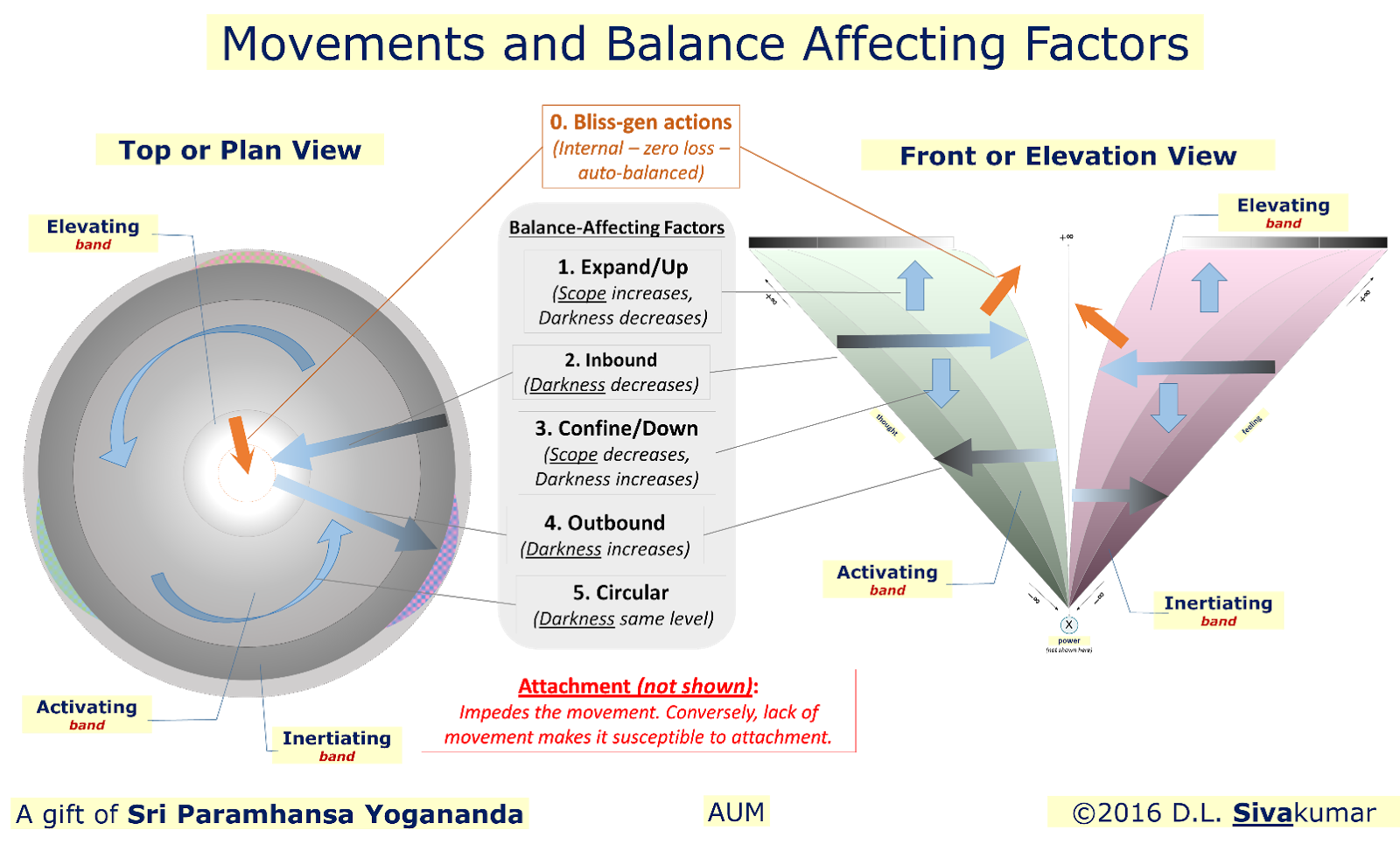 Section 5: Human Evolution (TCE 22 - 24)