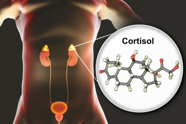 Diccionario de Psicopedagogía: ¿Qué es el cortisol?