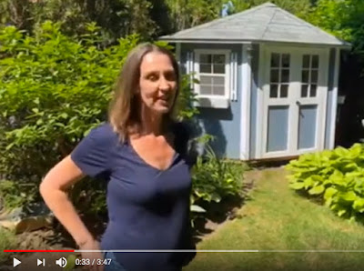 Shedworking: Natalie Jenner: shedworker