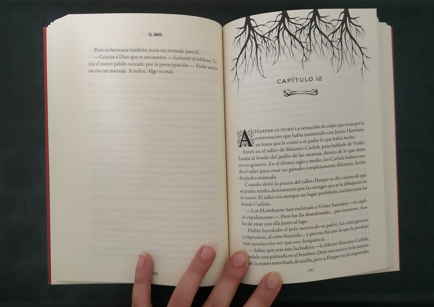 1000 LIBROS: RESEÑA: EL GRIS I. EL GRIS (CHRISTINE LYNN HERNMAN)